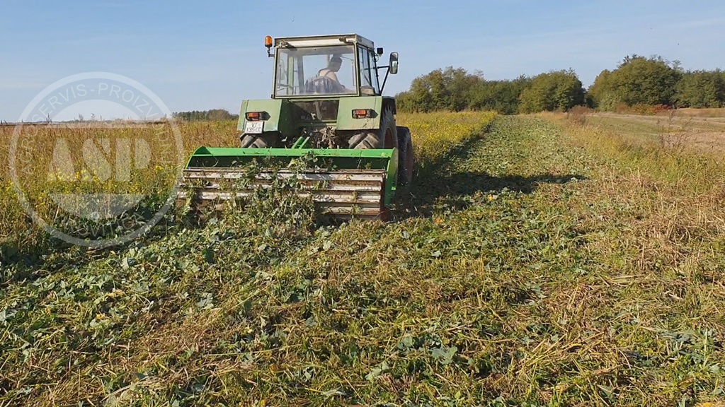 BIOcut in action green manure (1) – Agroservis proizvodnja