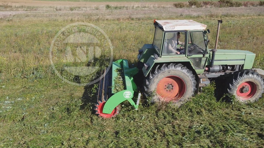 BIOcut in action green manure (2) – Agroservis proizvodnja